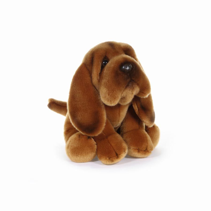 Plush&Company Segu plush 30cm dog - Soft toy and plush - Awakening and ...